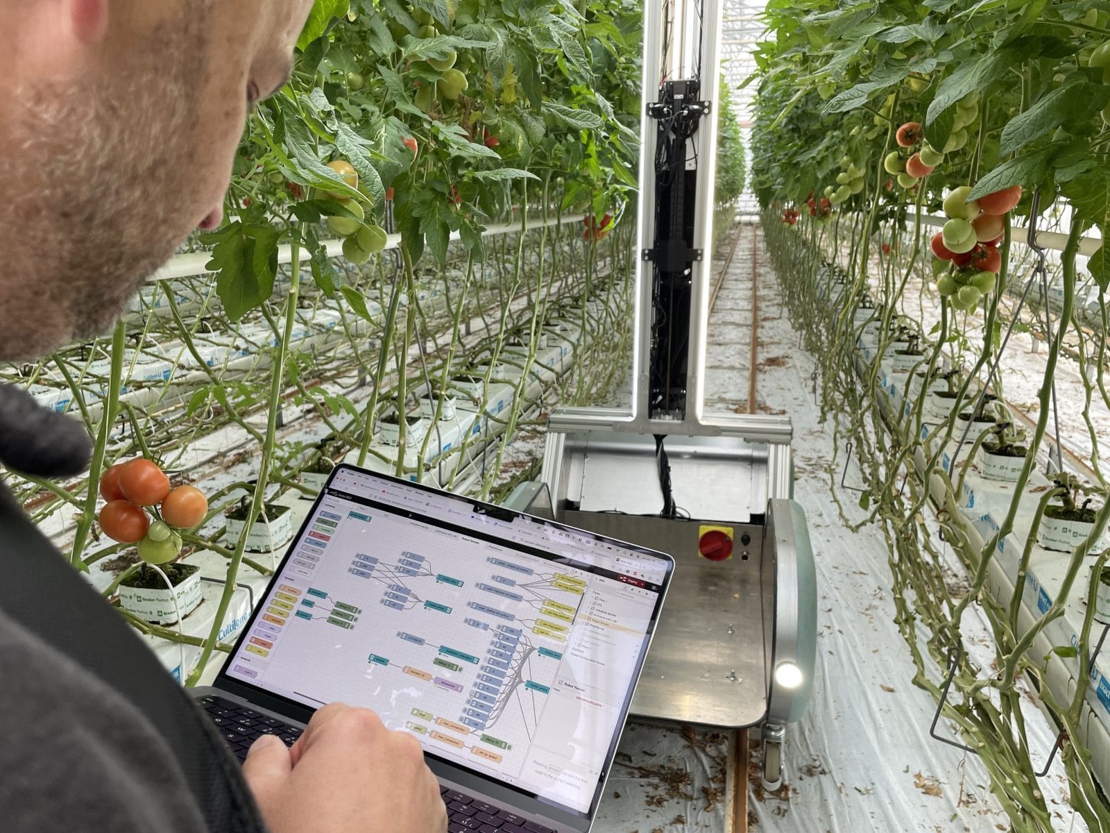 Roboter im Gewächshaus: Tschechischer Junglandwirt erhält Preis der EVP ...